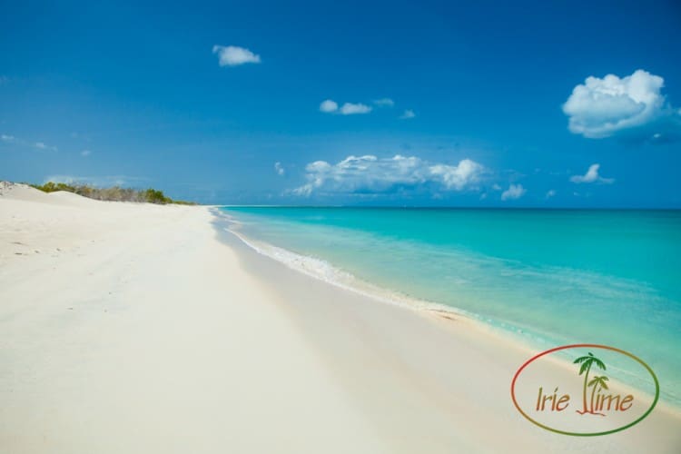 The Natural Beauty of Barbuda – My Irie Time
