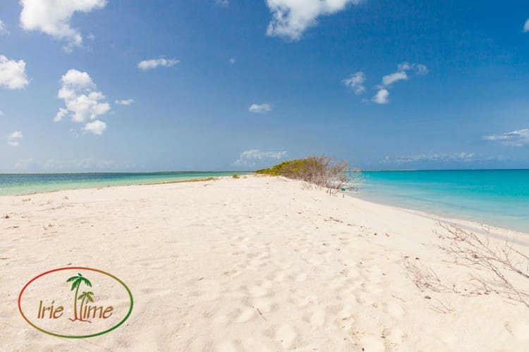 The Natural Beauty of Barbuda – My Irie Time